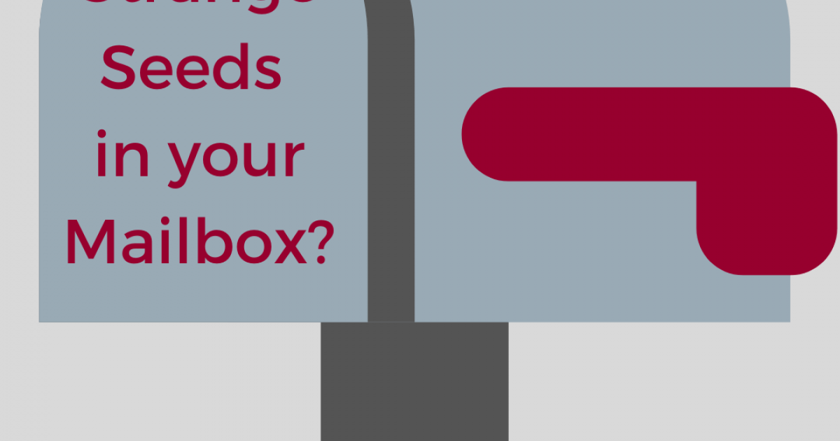 Dept. of Agriculture responds to mystery seed mailers | Minnesota ...